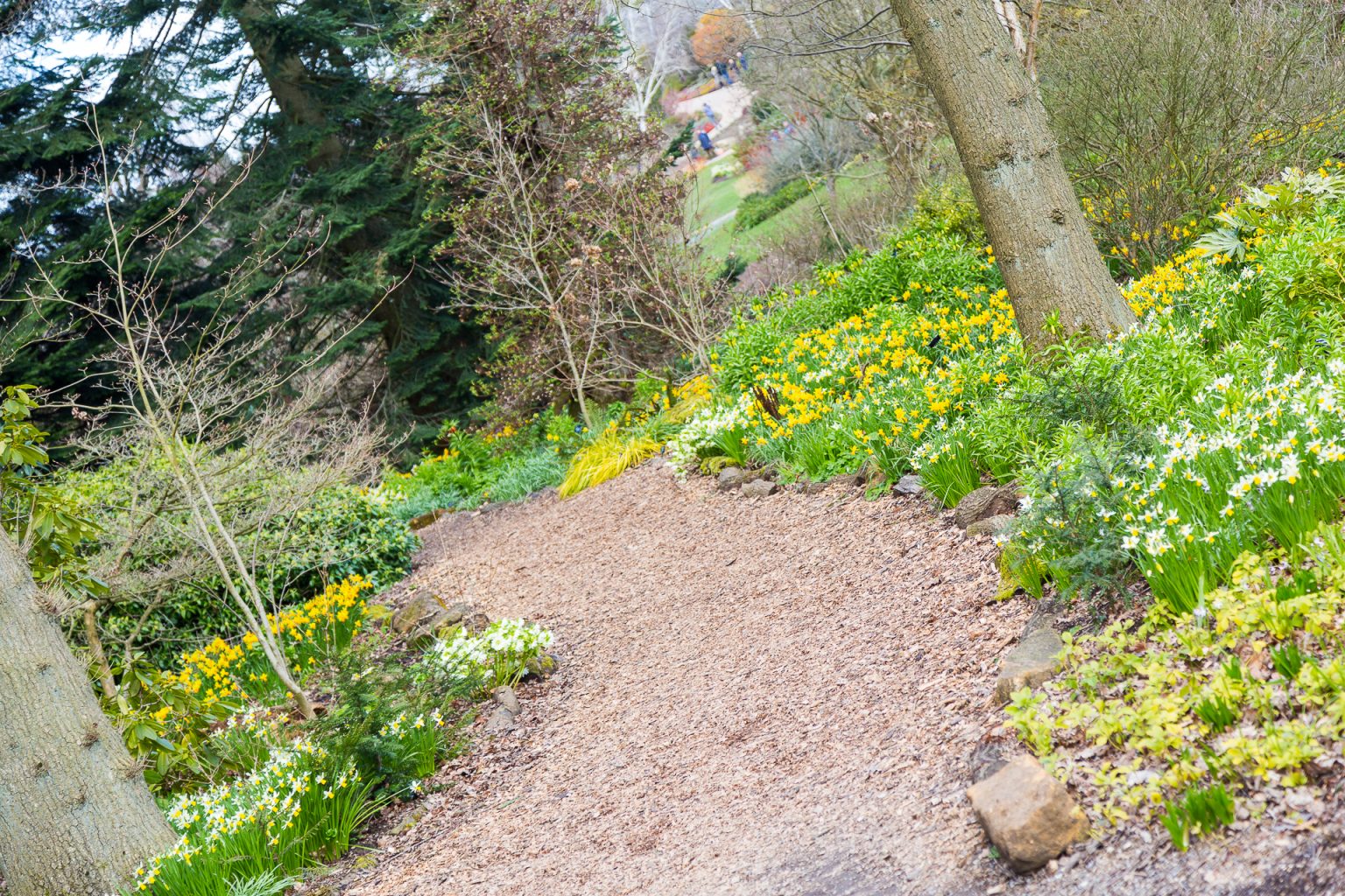 A Sunday Well Spent at RHS Garden Harlow Carr - Honest Mum