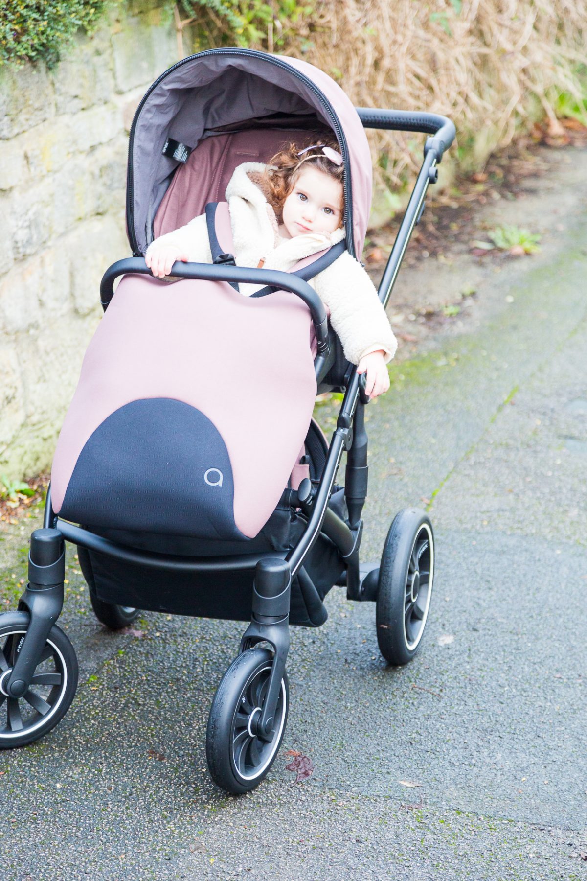 The Anex M Type Stroller