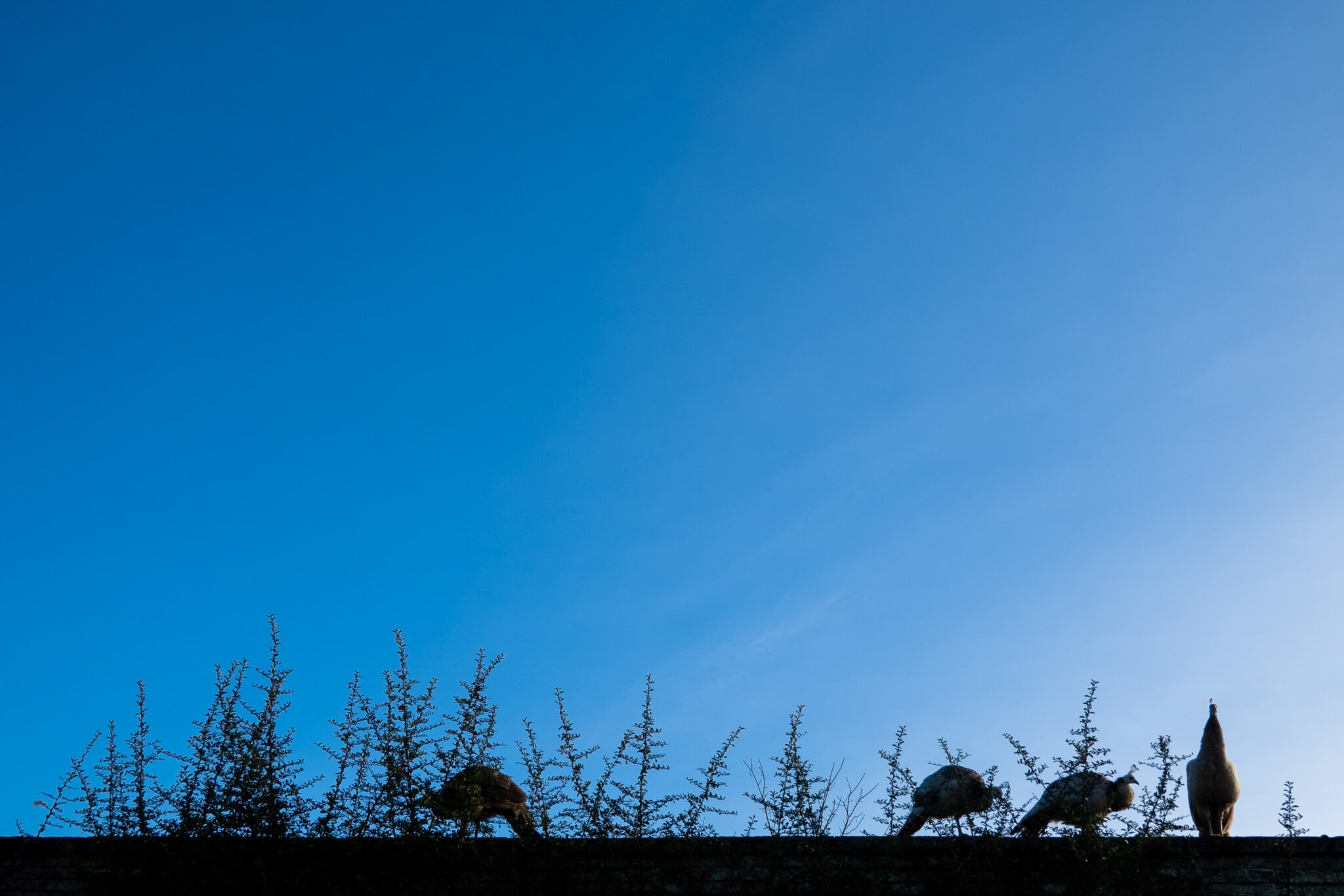 February Half-Term Outdoor Fun at Castle Howard